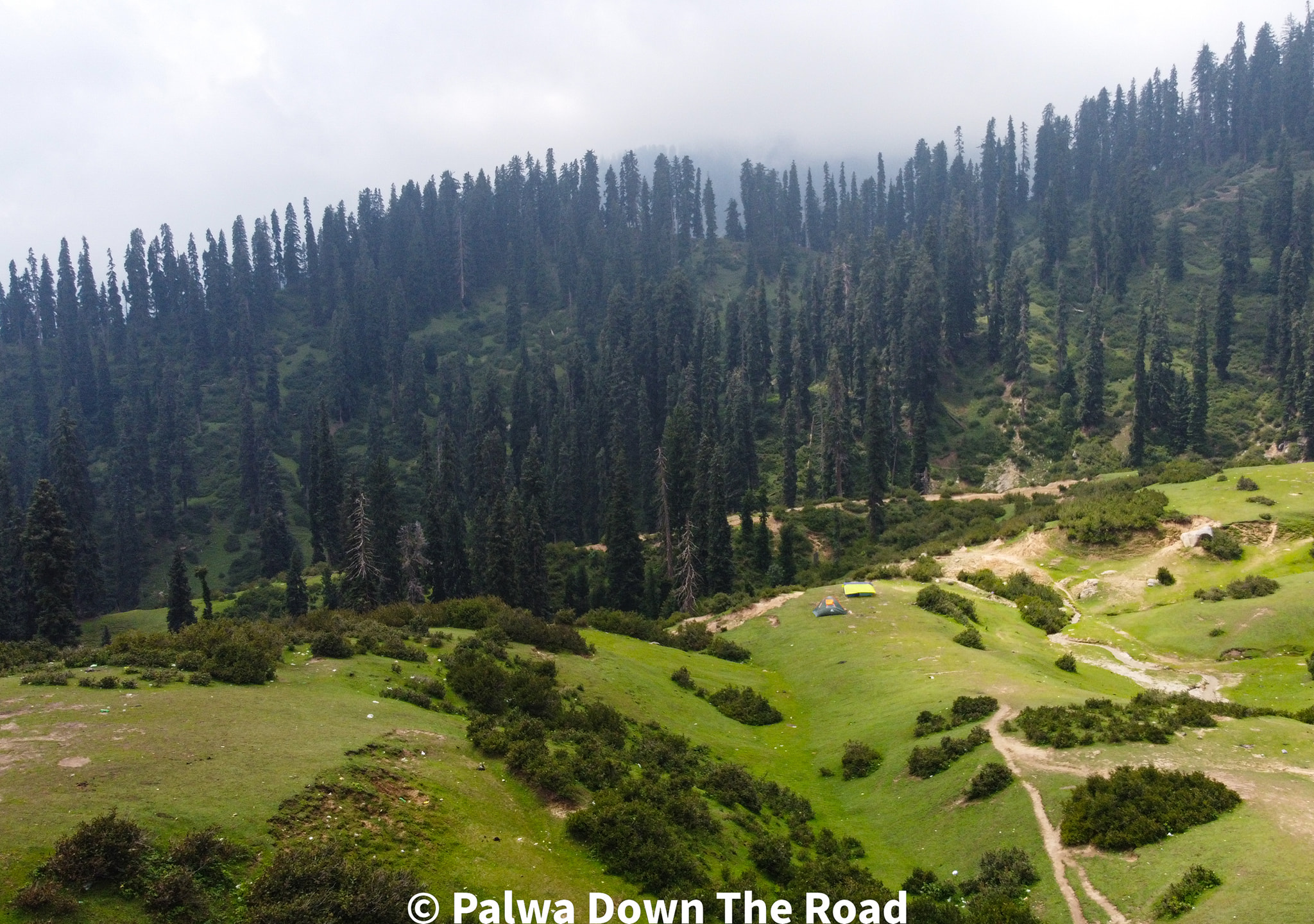Gabin Jabba - The Honey Marshes in Swat Valley - palwa down the road