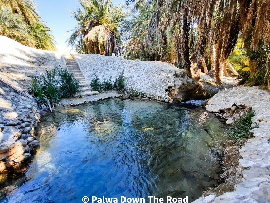 Incredible Ponds of Peer Chatal Shah Noorani - palwa down the road